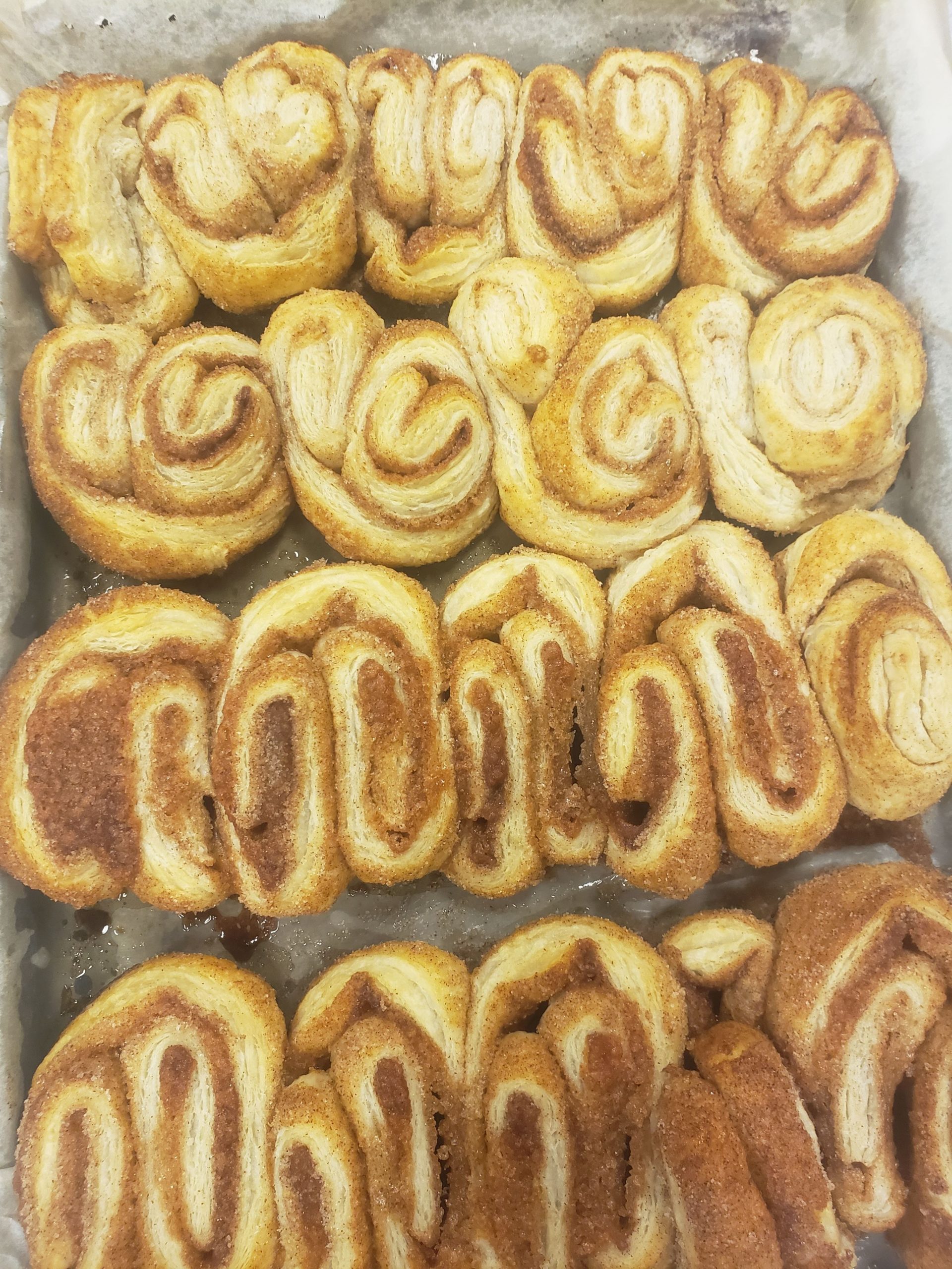 Beautiful Rainbow 🌈 Elephant 🐘 Ears - The Cafe